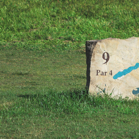 Tee Time viewer | STGCC