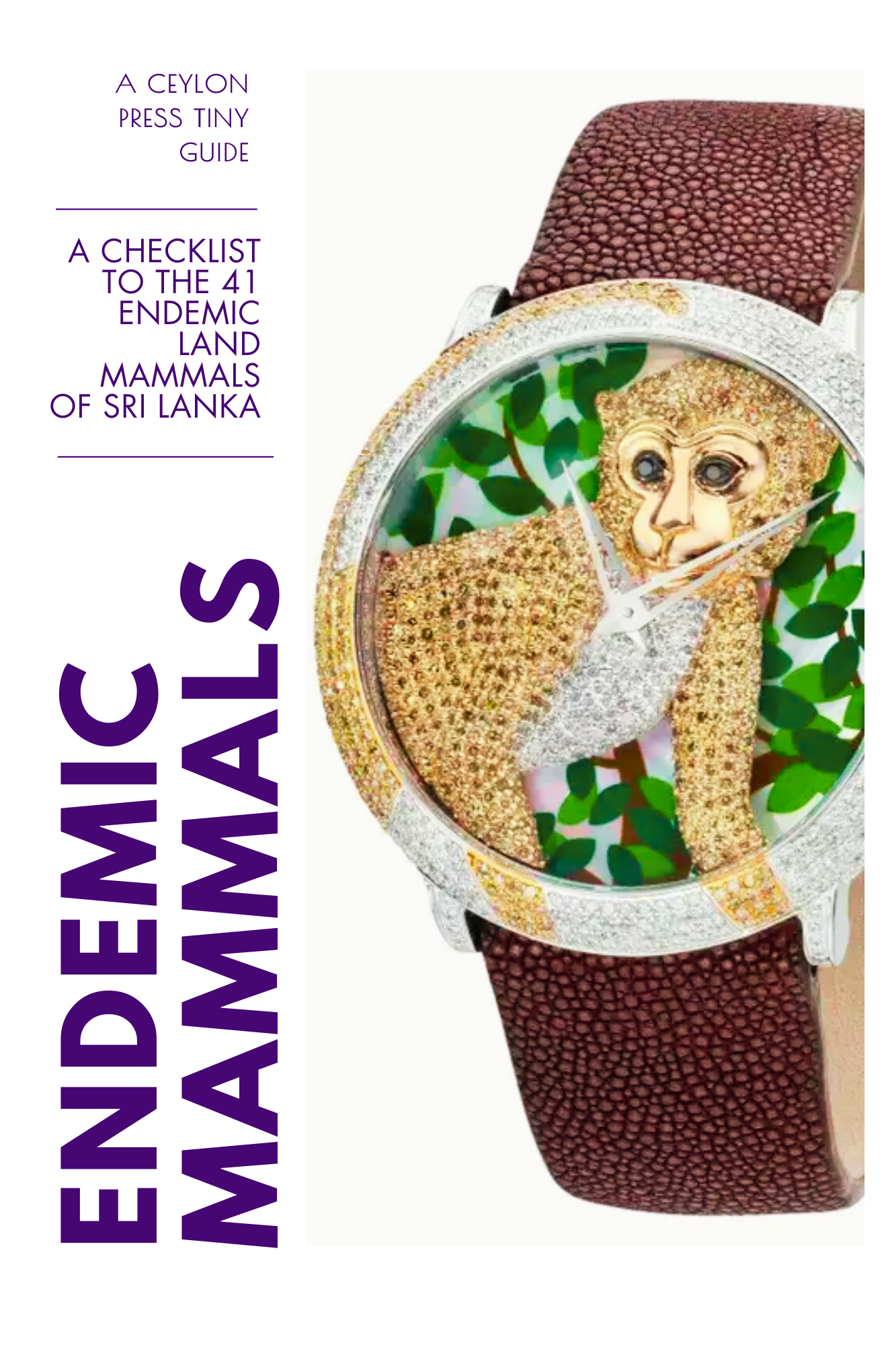 A Checklist To The 41 Endemic Land Mammals Of Sri Lanka | THE CEYLON PRESS