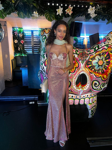 Glitter Appliqué Gown | Forever Devine