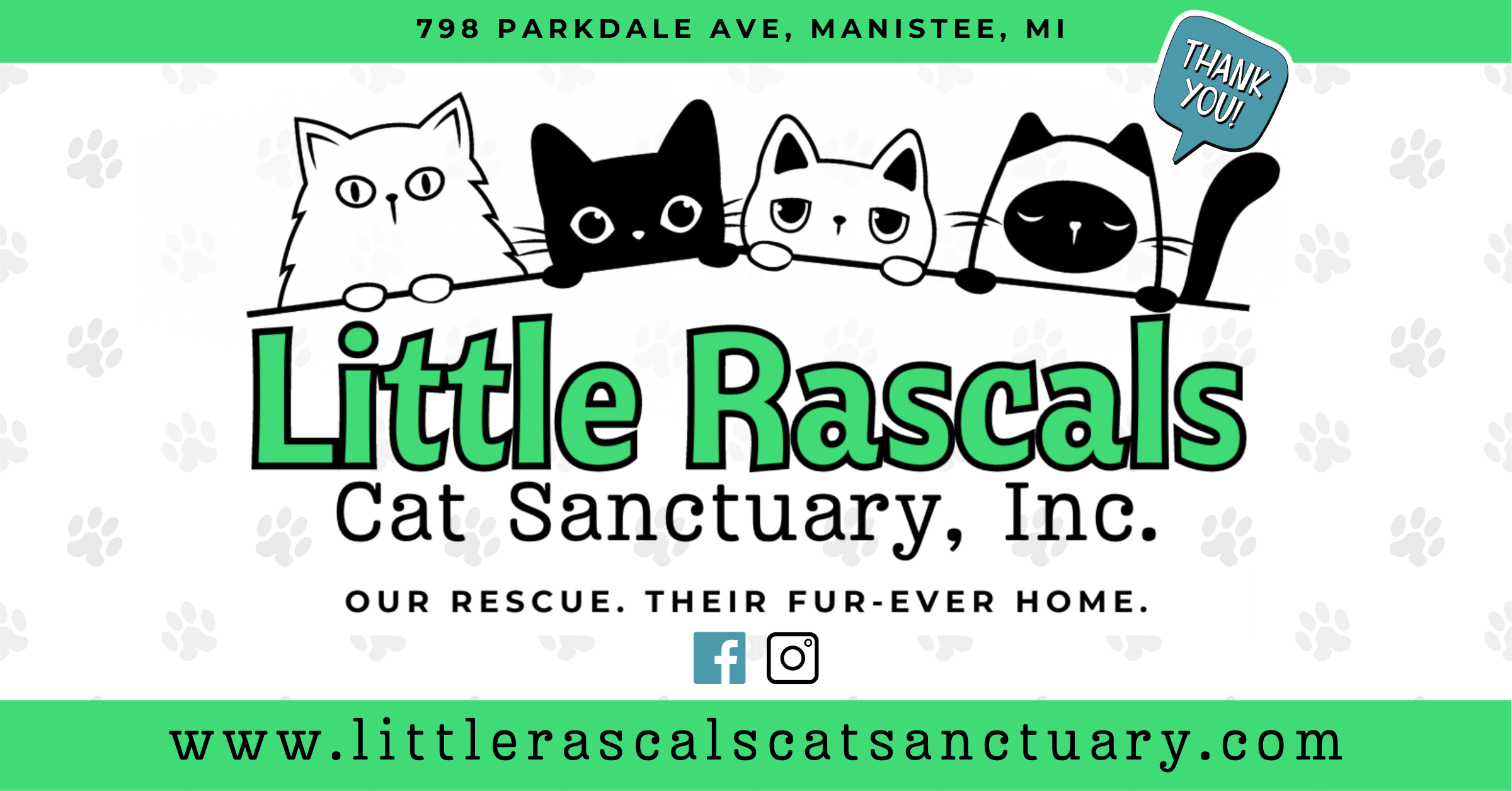 Little Rascals Cat Sanctuary, Inc. | nonprofit organization | 798 East ...