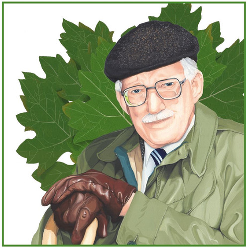 Foggy(Brian Wilde) | DianeBarkerArtist