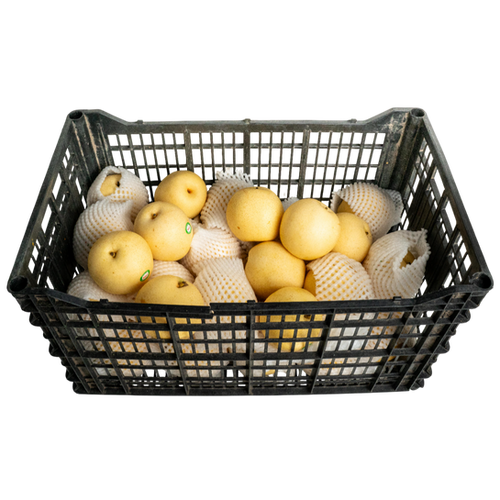Caja de Pera Asiatica 18kg | DAC Playa del Carmen