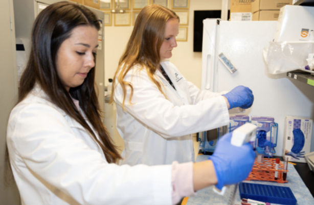 Jasmine Hartman-Budnik ‘19 - VCHS Alumni Physicians in the Field