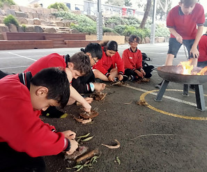 Mullum Primary School | Ringwood School | Primary School