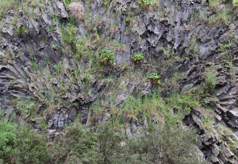 Geological Formations | Friends of Organ Pipes National Park