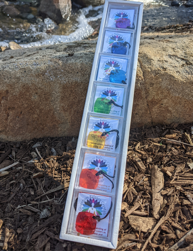 Rainbow Reiki Collection | QBC