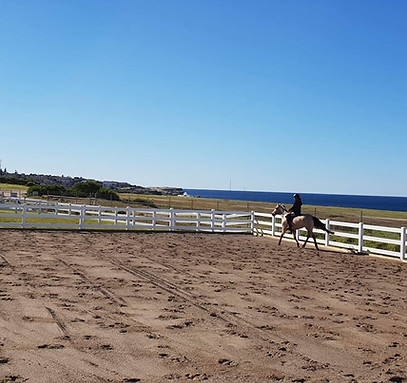 Adult Horse Riding Lessons | South Sydney | Malabar