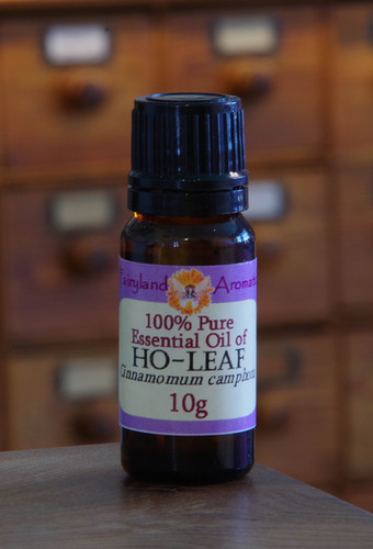 Ho Leaf 100% Essential Oil | fairylandaromatics