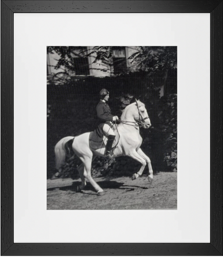LIMITED EDITION PRINT CHIEF RIDER HEROLD SRS | Classical Equestrian