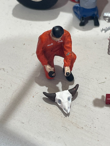 Bull Skull | Justin Displays