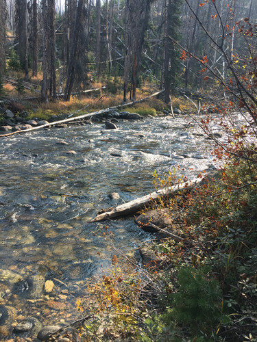 River of Gold #2 | goldproperties4sale