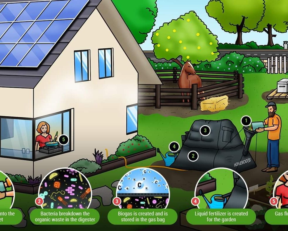 The Biodigester | Biomatica