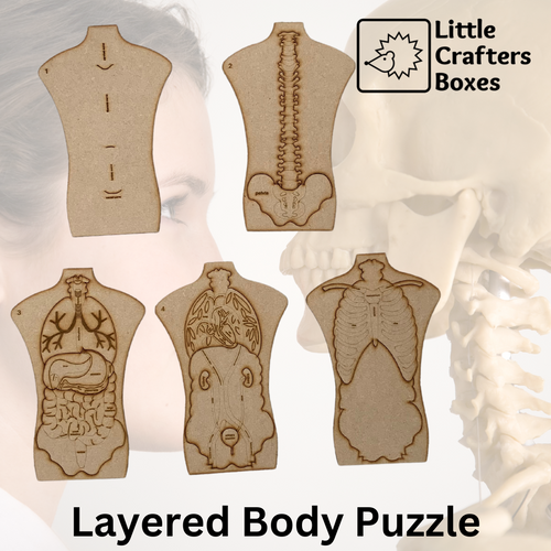 Layered Body Puzzle | Little Crafters