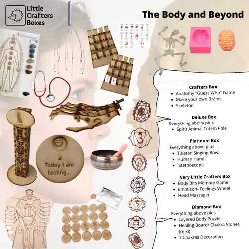 Instructions-Body and Beyond Series | Little Crafters