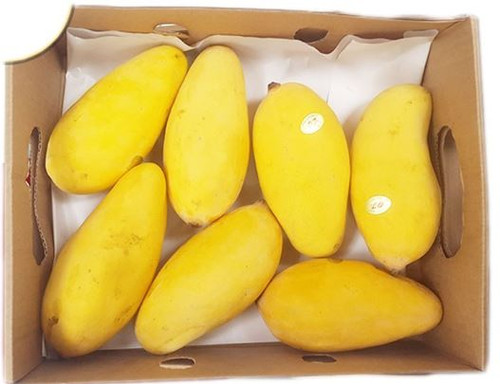 Pakistan Mango Sindhri Online| Online Delivery Dubai| Best Price ...