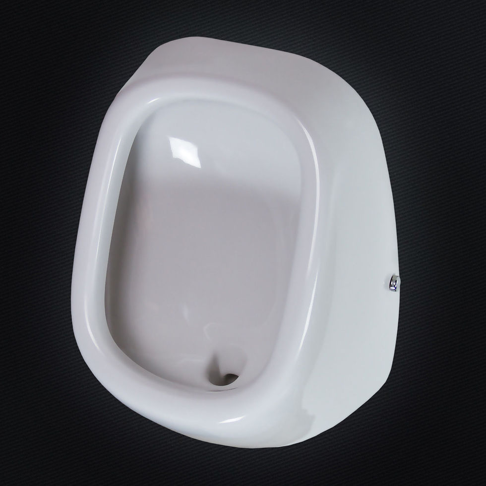 Toilet WC Urinal Bathroom Wall Hung Mounted | bathroomstore