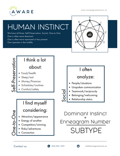 EnneagramAWARE Subtypes Overview | EnneagramAWARE