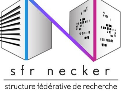 About us | SFR Necker