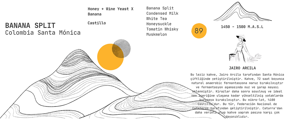 Signature Specialty | Meet Lab Coffee