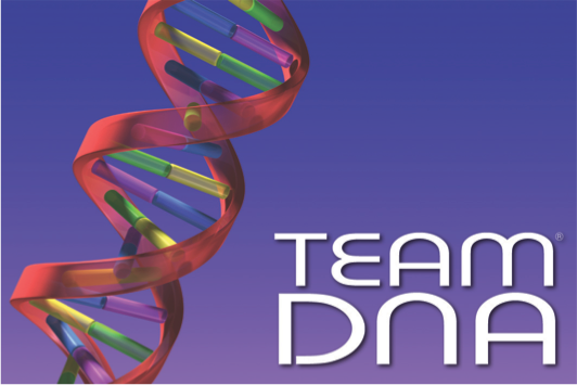Team DNA and Leadership DNA