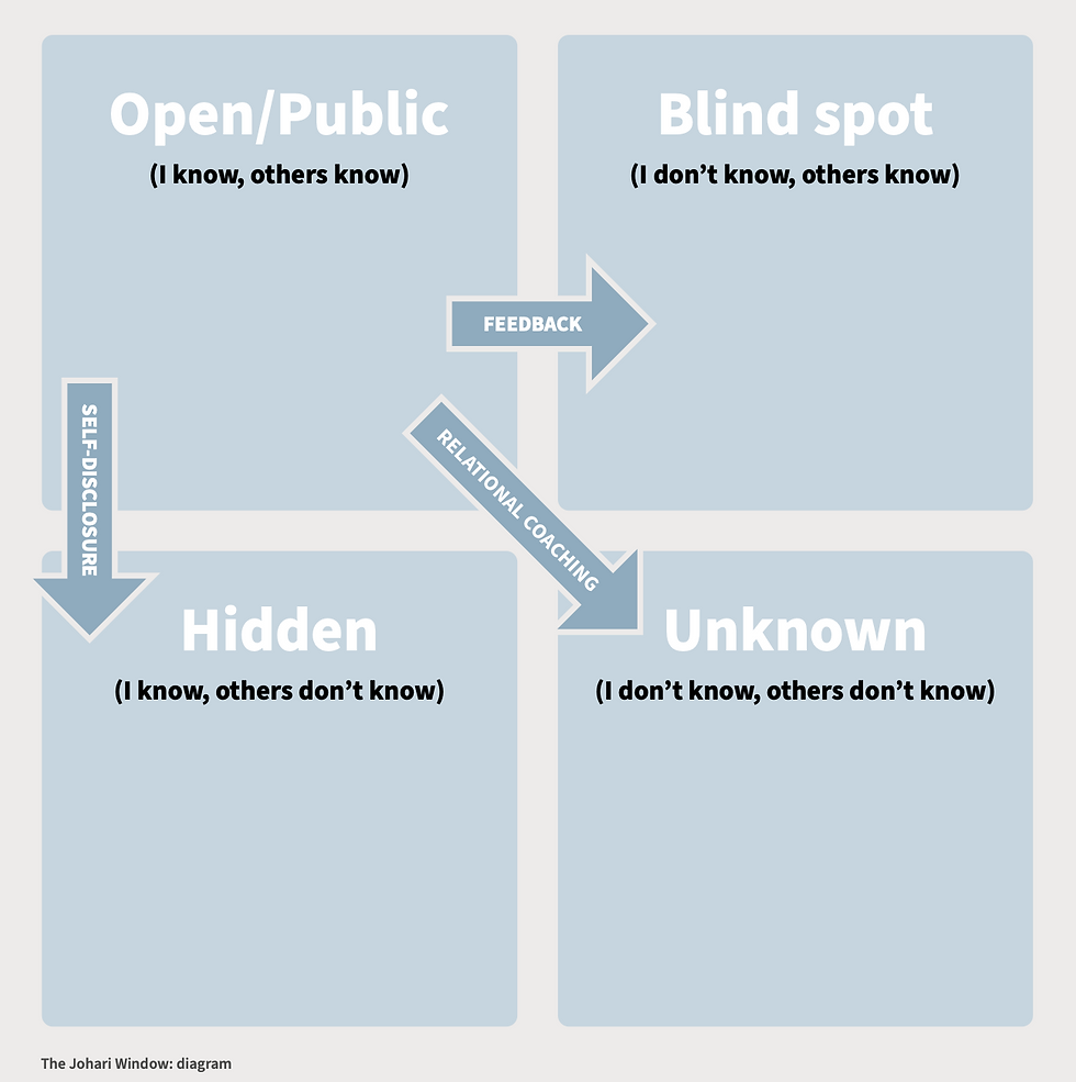 The Johari Window Model in tandem with Belbin