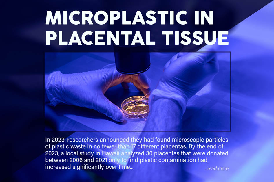 1259-Microplastics-Human-Placenta-scarabtrust | Scarab T: Team site