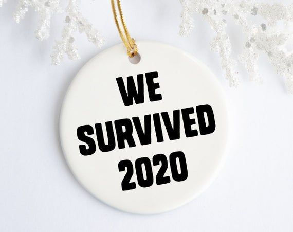 We Survived 2020