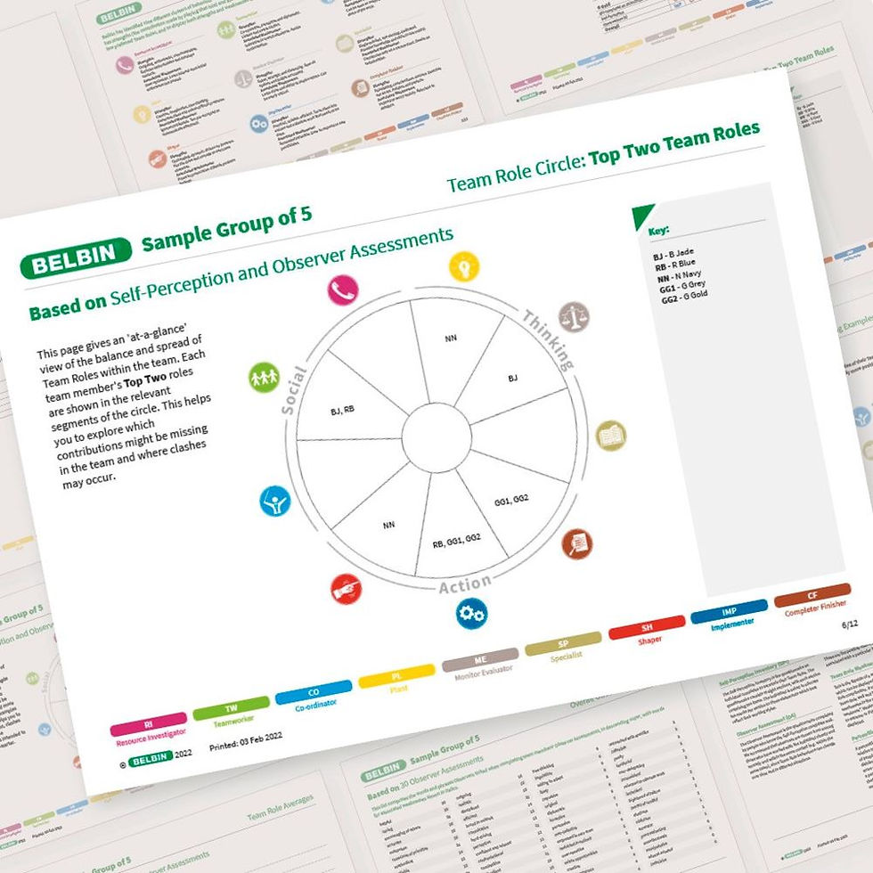 Why do people use Belbin?