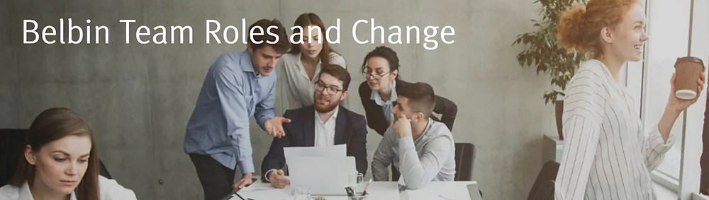 Belbin Team Roles and Change