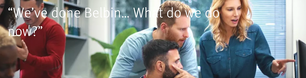 "We've done Belbin ... What do we do now?"