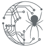 Spider Learning, Inc. | Blended and Remote Learning at its finest