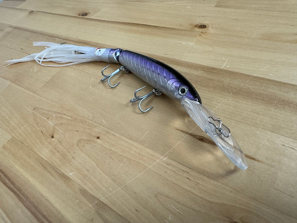Striper lure store