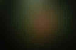 Photography | Ian Plant Photography