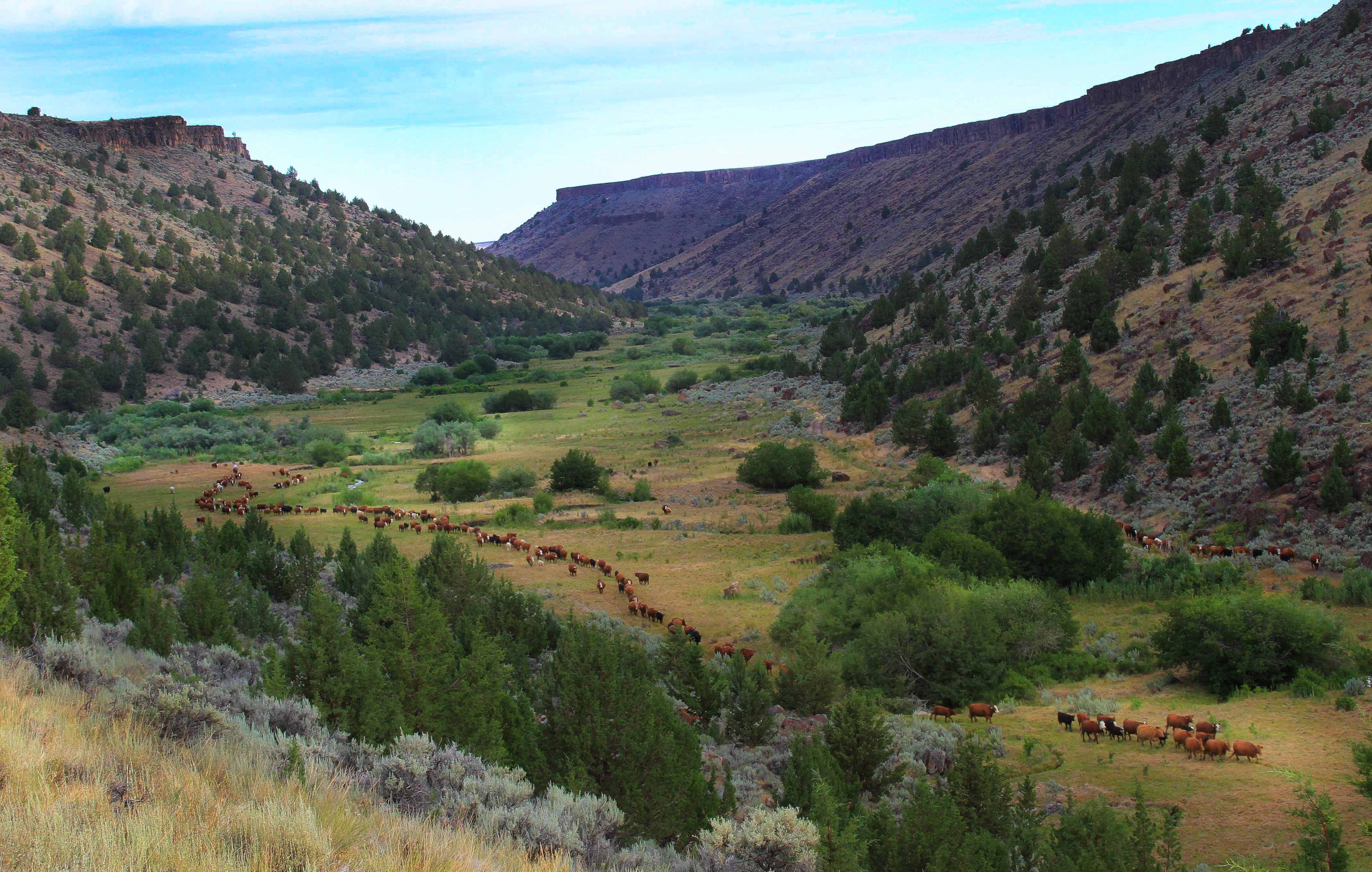 Home | Diamond, OR | Steens Mountain Guest Ranch