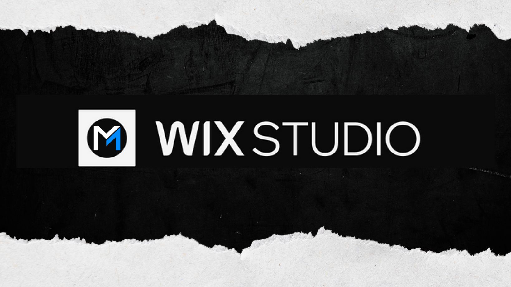 Why Wix Studio?