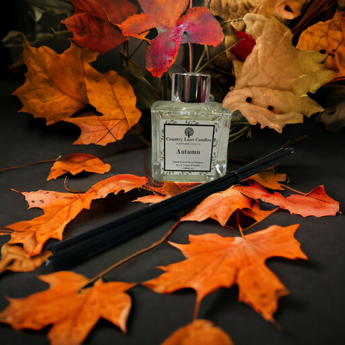Autumn Reed Diffuser | Country Lane Candles