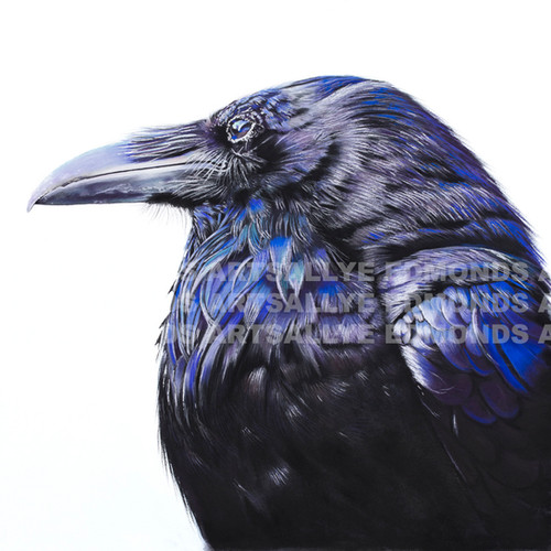 JAMES | Print | sallyedmonds