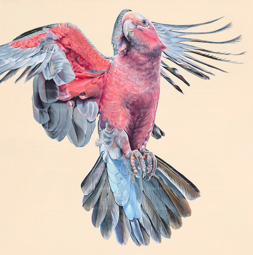 HOPE | Print | sallyedmonds