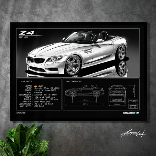 QUADRO DECORATIVO BMW Z4 M SPORT E89 SDRIVE 20i E89 2.0 turbo - DATA ...
