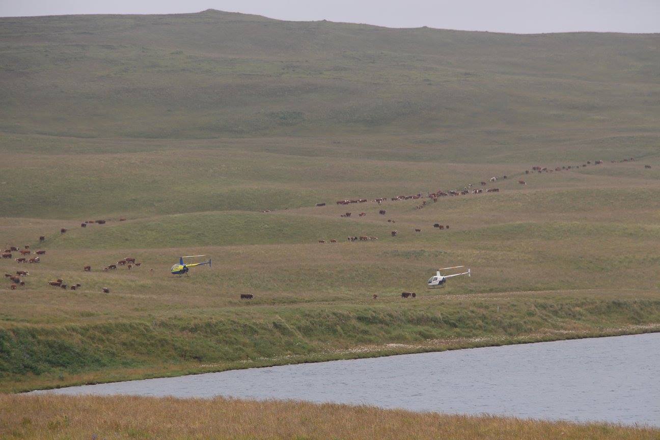 Bering Pacific Ranches | Aleutian Islands, AK | Icon Global Group