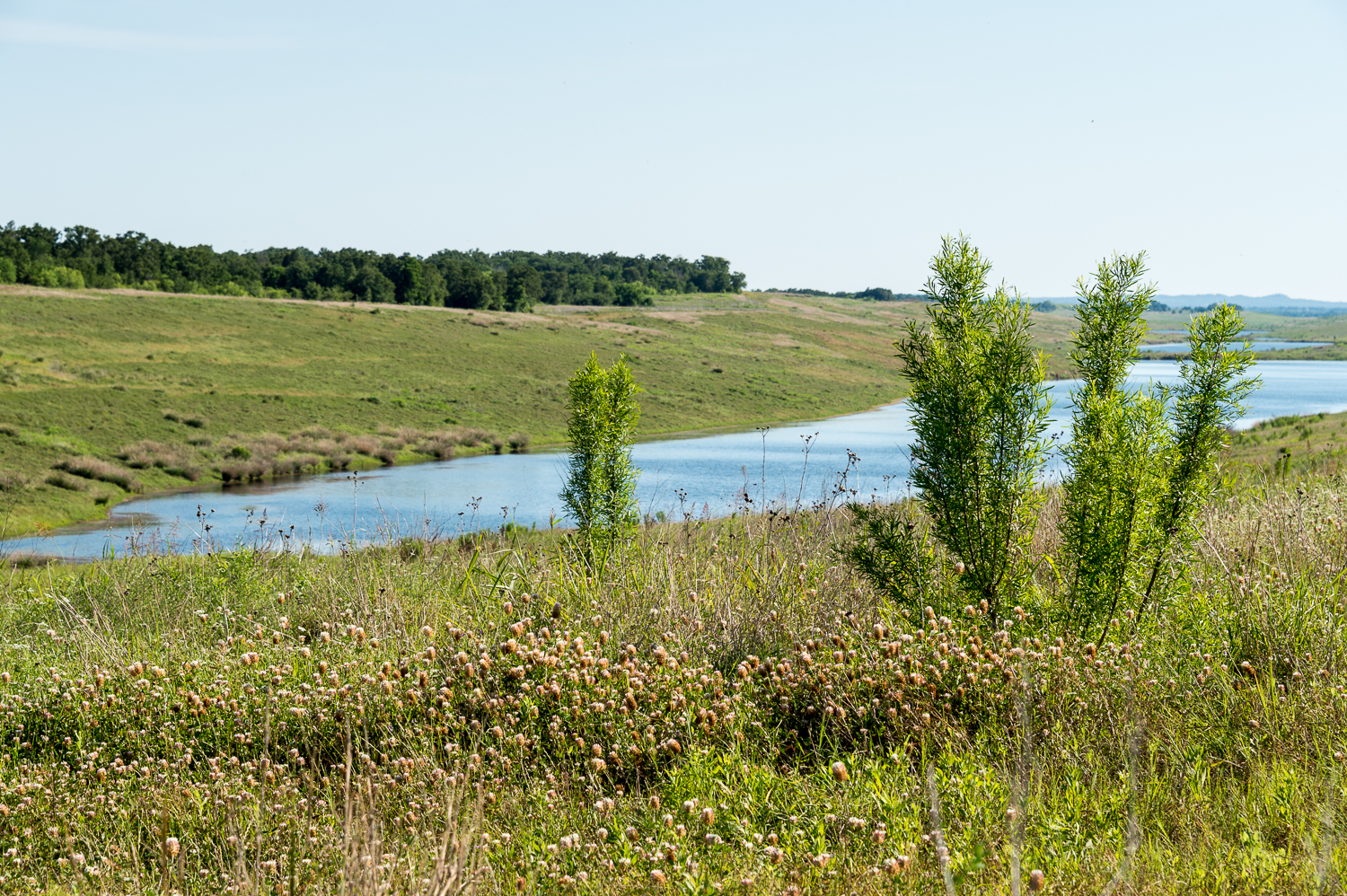 Sandow Lakes Ranch | Rockdale, TX | Icon Global Group