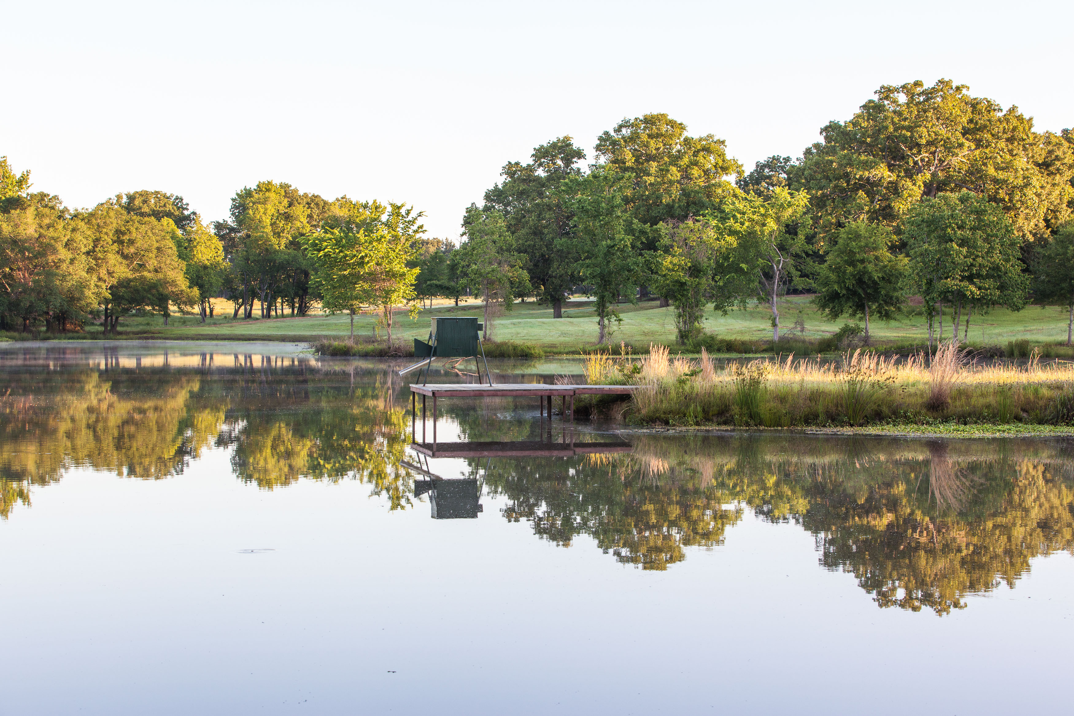 Broseco Ranch | Omaha, TX | Icon Global Group