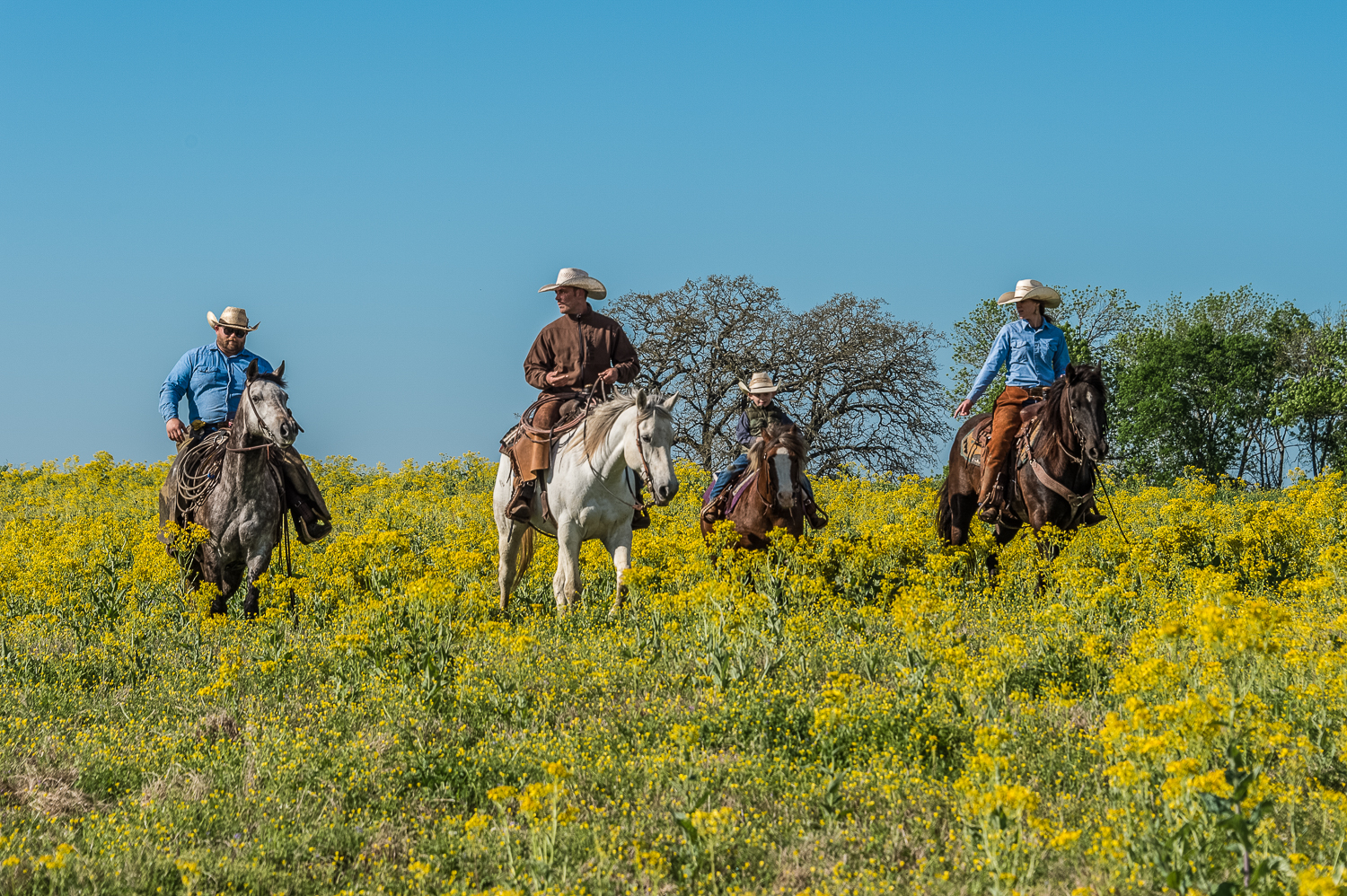 Champion Ranch | Centerville, TX | Icon Global Group
