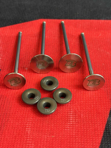 Stainless Steel Daytona Anima 150/160/190 valve set + valve retainer ...