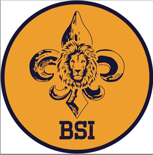 BSI Car Magnet | BSI