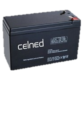 CELNED Lead Acid Battery 12V 100AH | queenslinktechnology