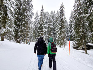 Ionplus AG | Scientific Instruments made in Switzerland