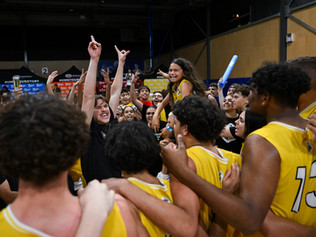 Portfolio (List) | Binar