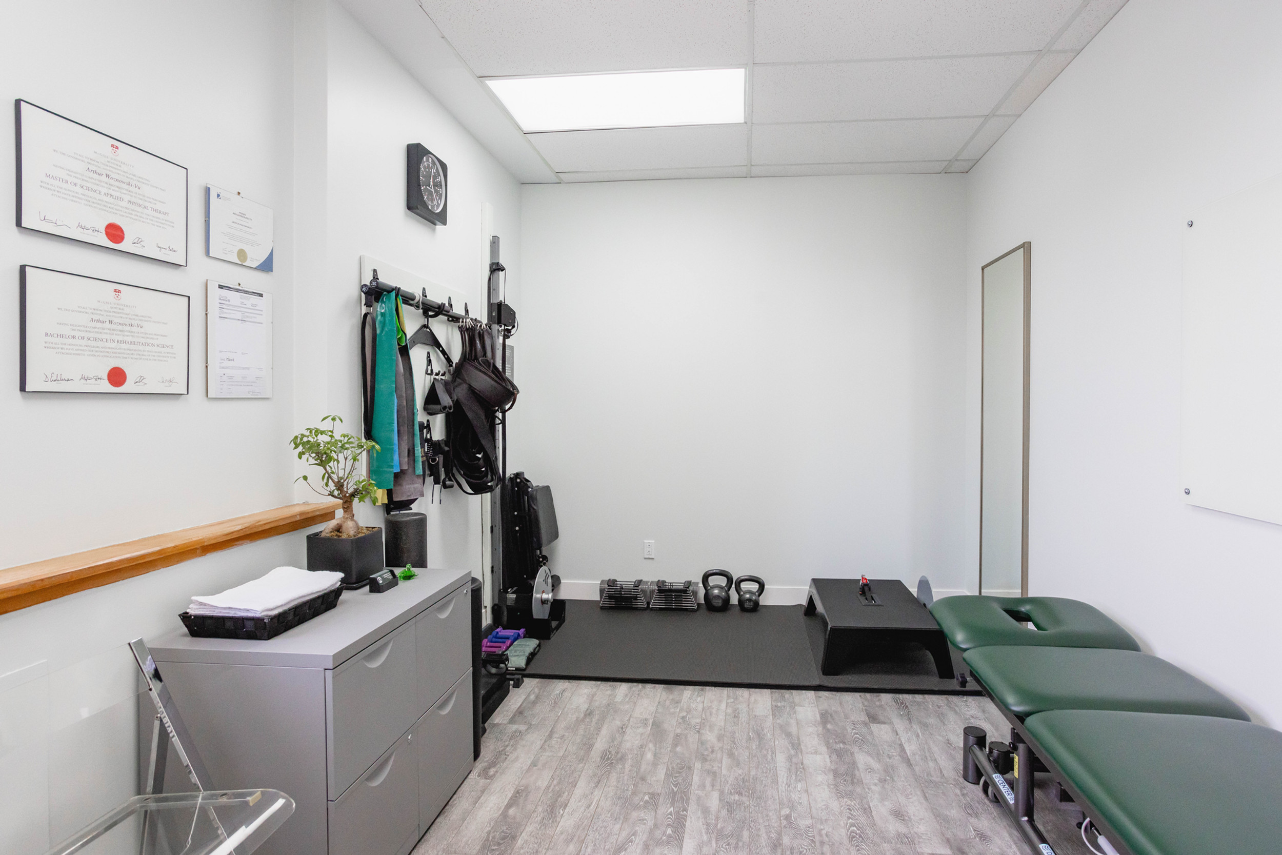 Chronic pain physiotherapy (fibromyalgia, back pain, arthritis, etc ...