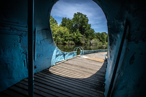 Blue Whale inside | tyhelbachphotography
